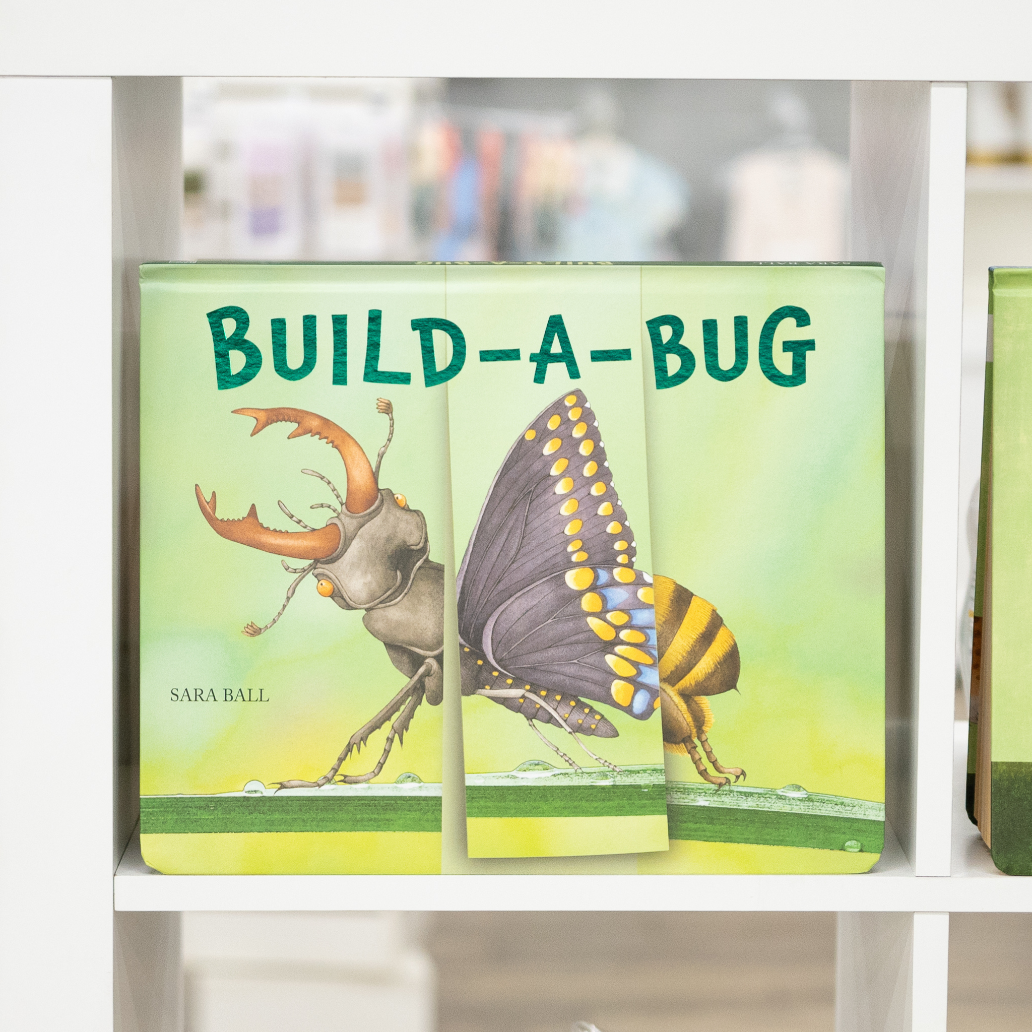Board Book | Build-a-Bug — The Kangaroo Pouch